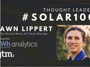 Dawn Lippert - Elemental Impact